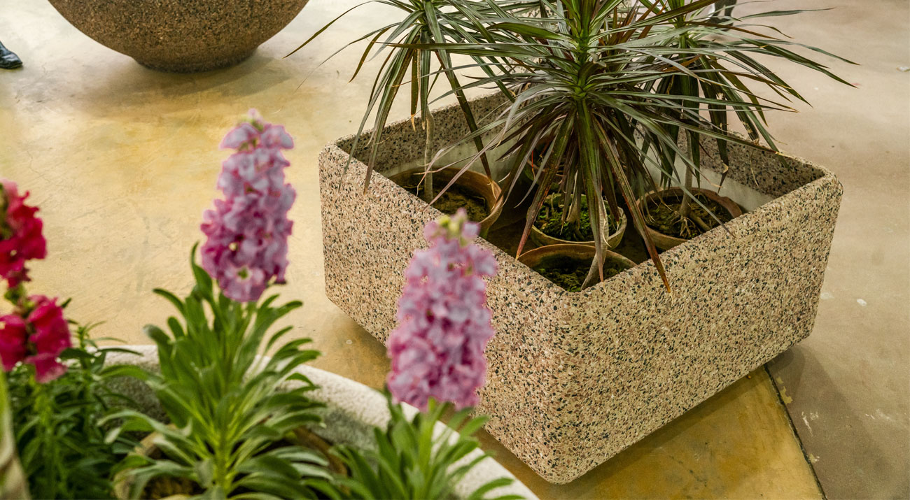 carnation | Magnacrete.com