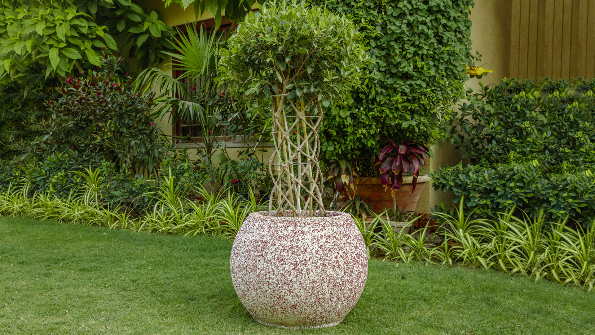 daisy | Magnacrete.com