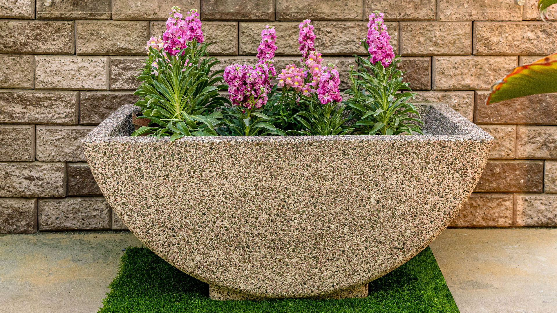 daisy | Magnacrete.com